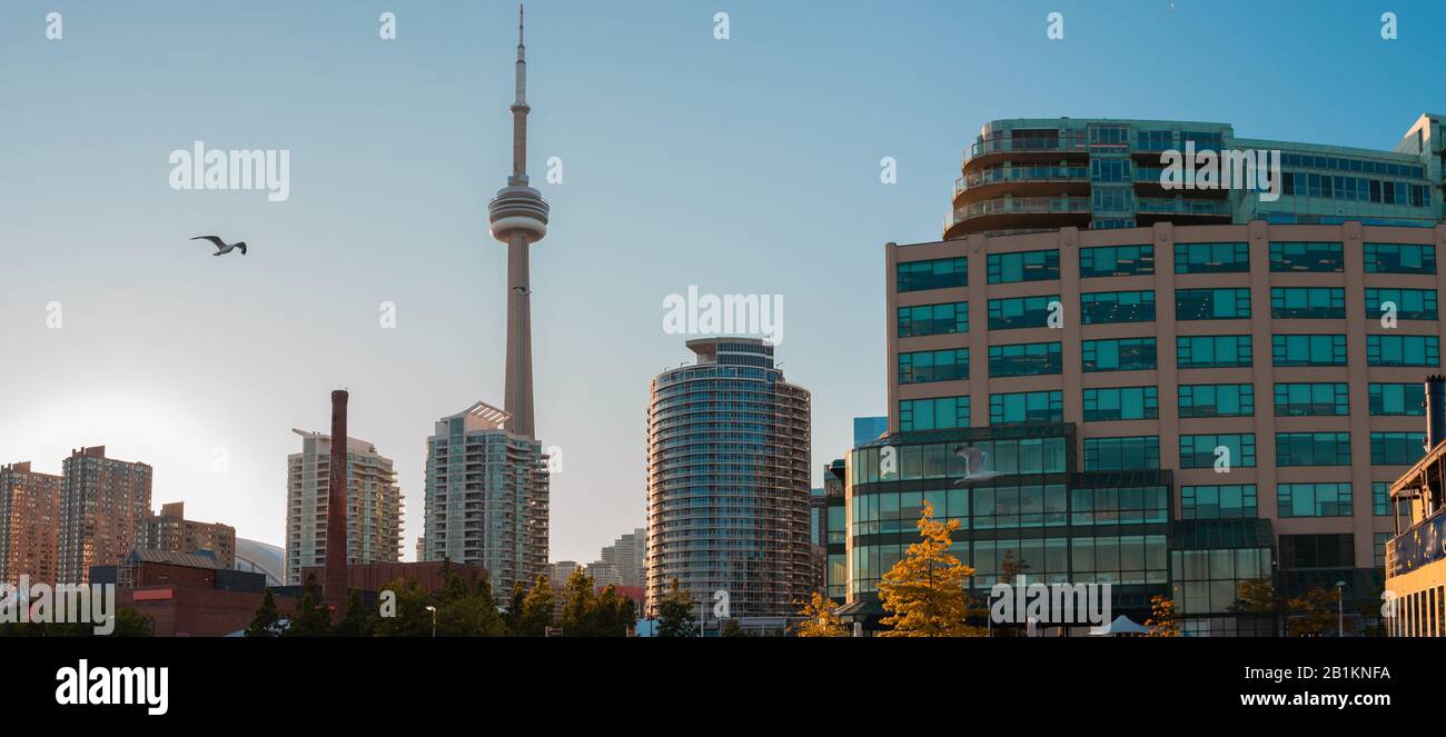 Downtown toronto canada real estate hi-res stock photography and images ...