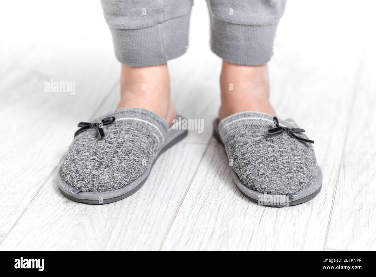 Modern portrait of home slippers light gray on white background for ...