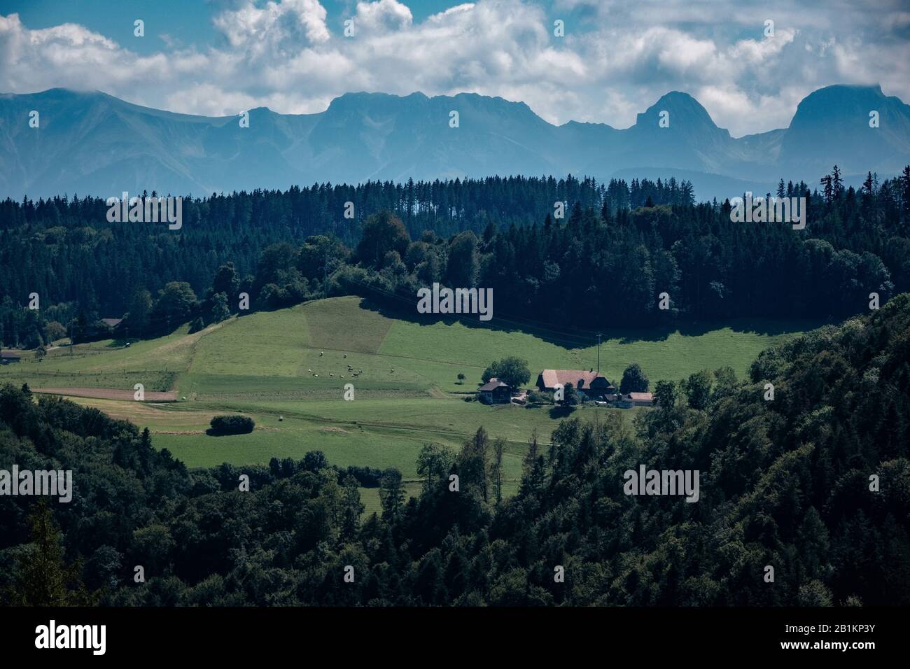 Summer view of a beautiful apline village in Switzerland. green field ...