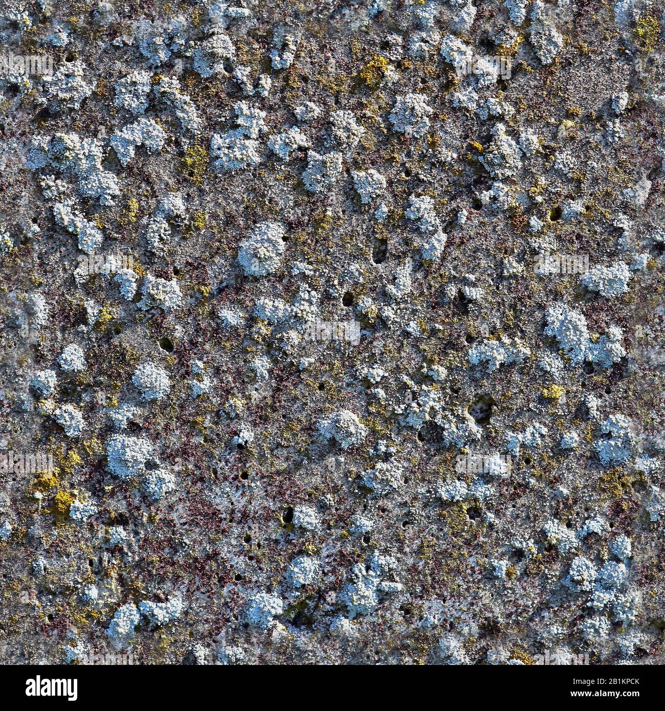 Detailed foto realistic seamless concrete texture of different cement ...