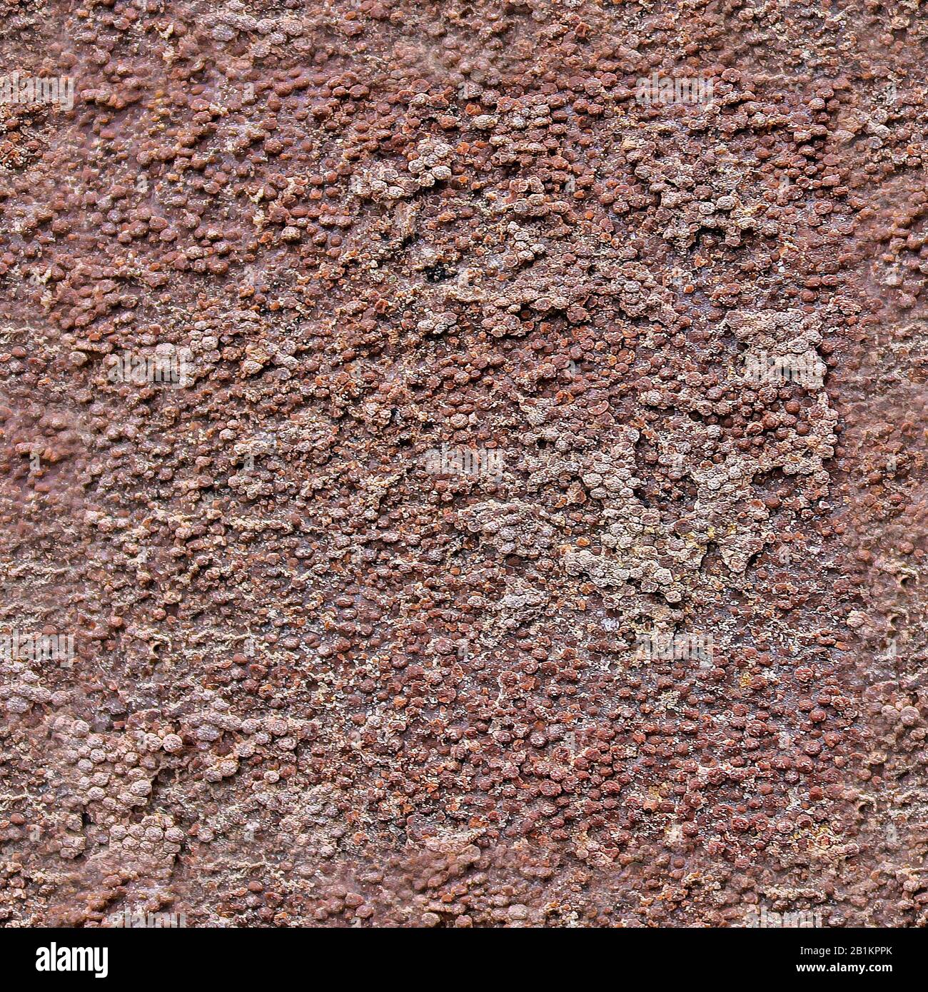 Detailed foto realistic seamless concrete texture of different cement ...