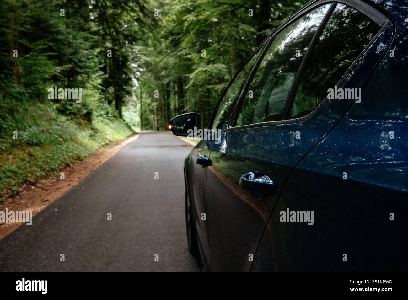 Blue car on beautiful way with the background of the road to forest ...