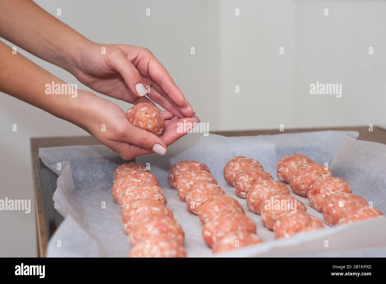 Female hands make meatballs in the oven. Swedish raw meatballs ...