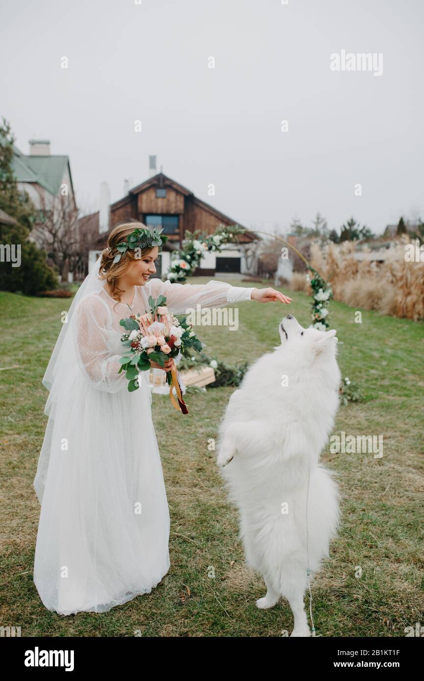 Bride dog hi-res stock photography and images - Alamy