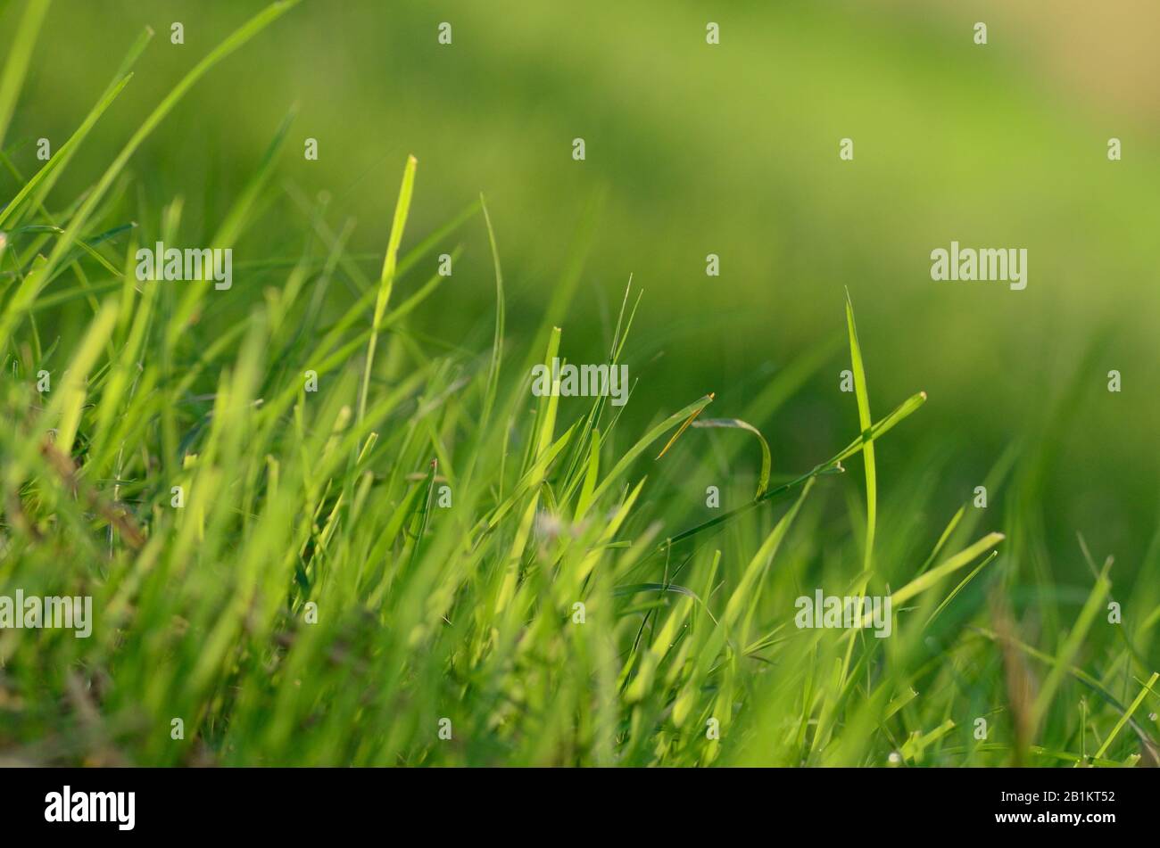 Farm Field on Indian land Stock Photo - Alamy