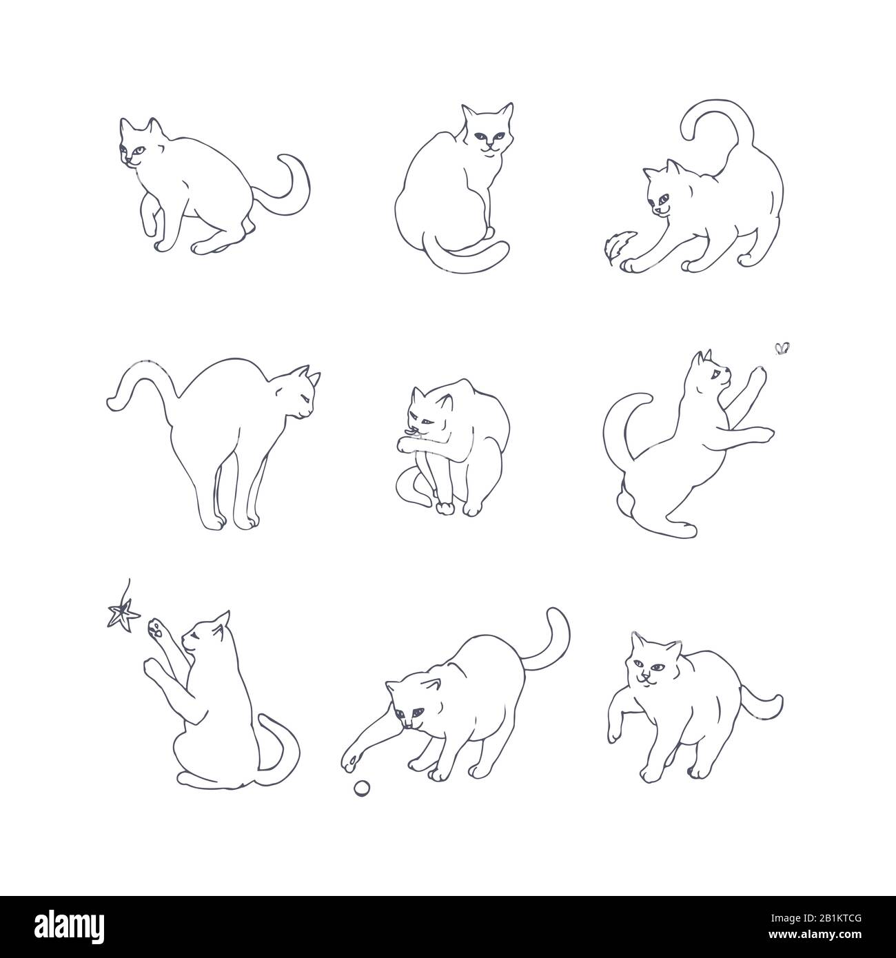 Set of nine hand drawn playful cats Stock Vector Image & Art - Alamy