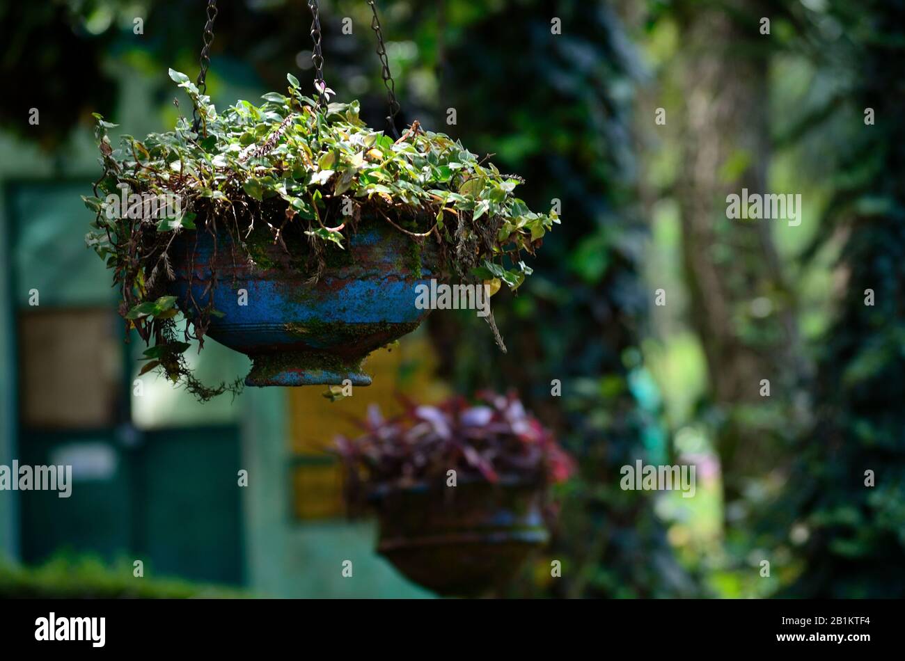 Farm Field on Indian land Stock Photo - Alamy