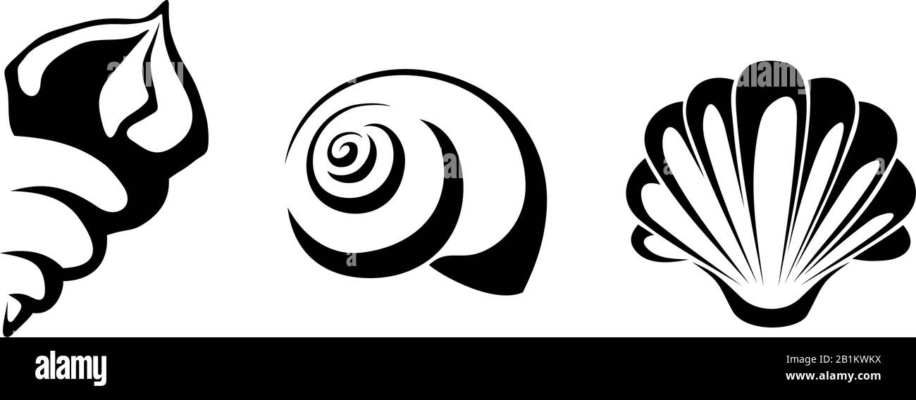 Spiral shells Black and White Stock Photos & Images - Alamy