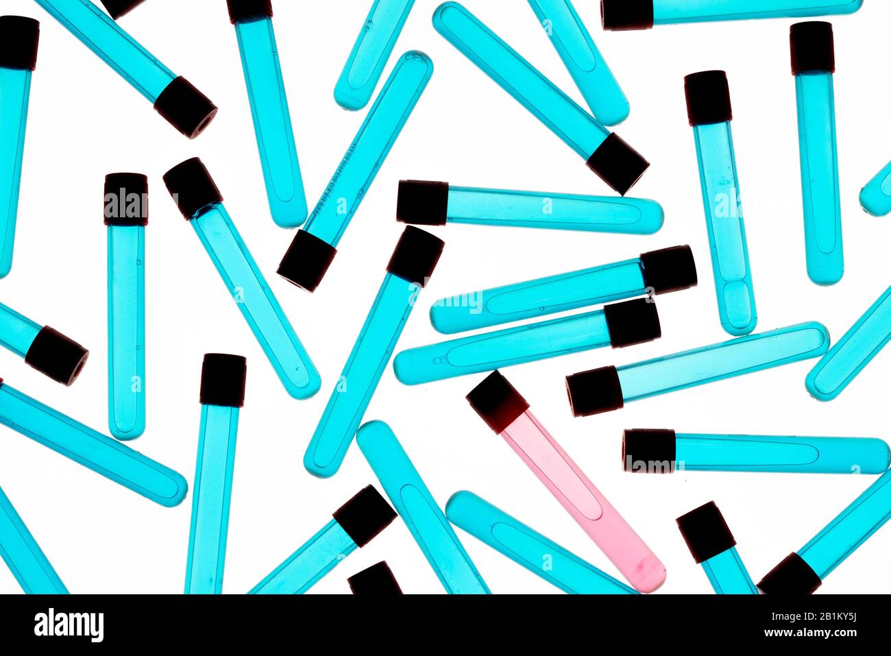 medicine test tubes for microbiological collection Flat lay, top view ...