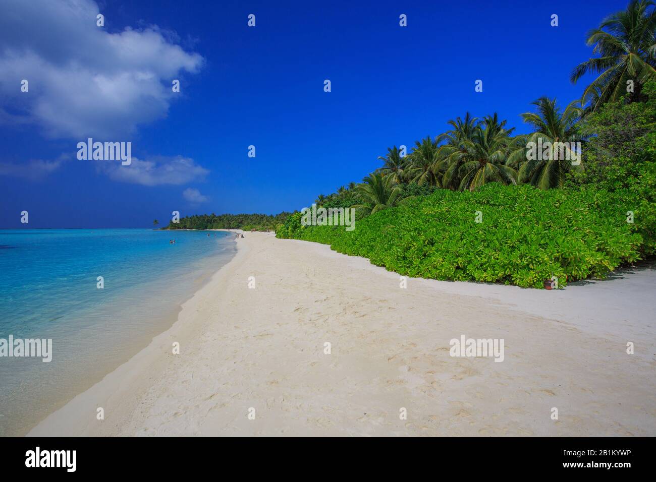 A pristine private beach in Maldives (South Ari Atoll Stock Photo - Alamy