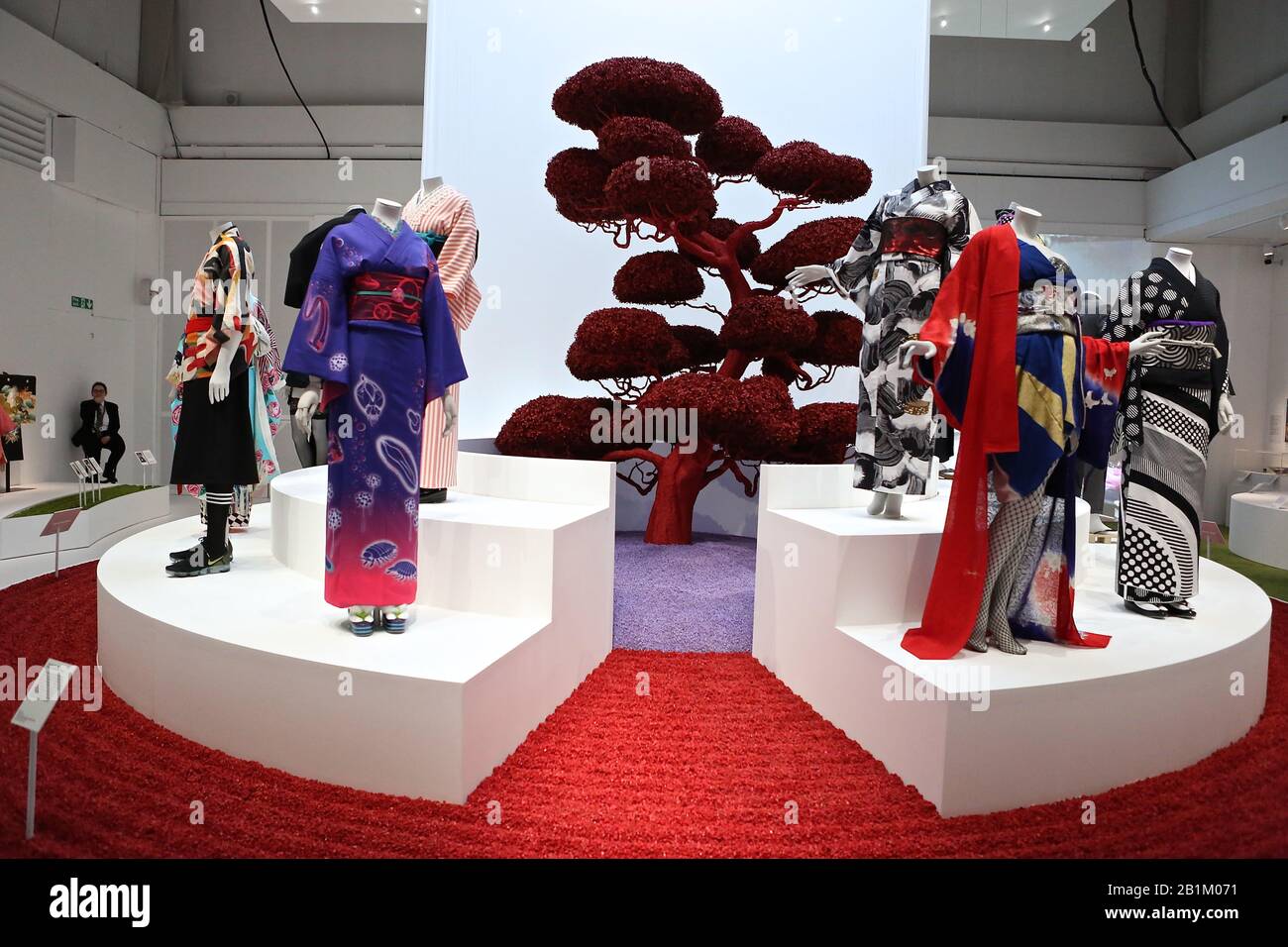 Bjork homogenic album cover hi-res stock photography and images - Alamy