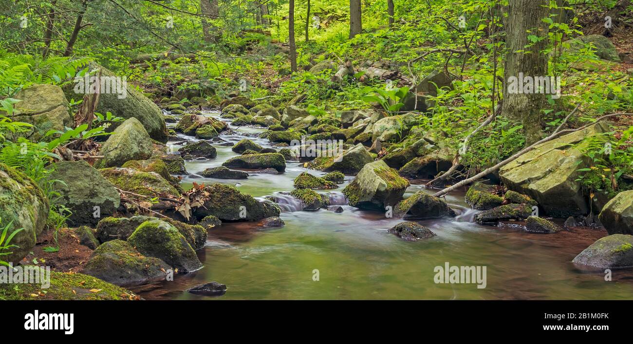 Forest Stream with small waterfalls Stock Photo - Alamy