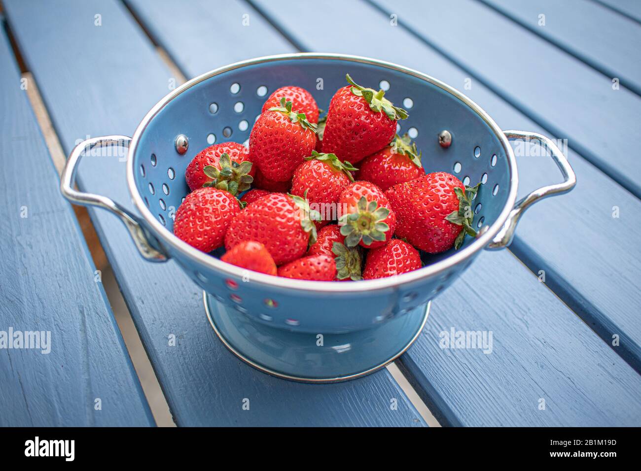 Fresh strawberries in a blue colander Stock Photo - Alamy