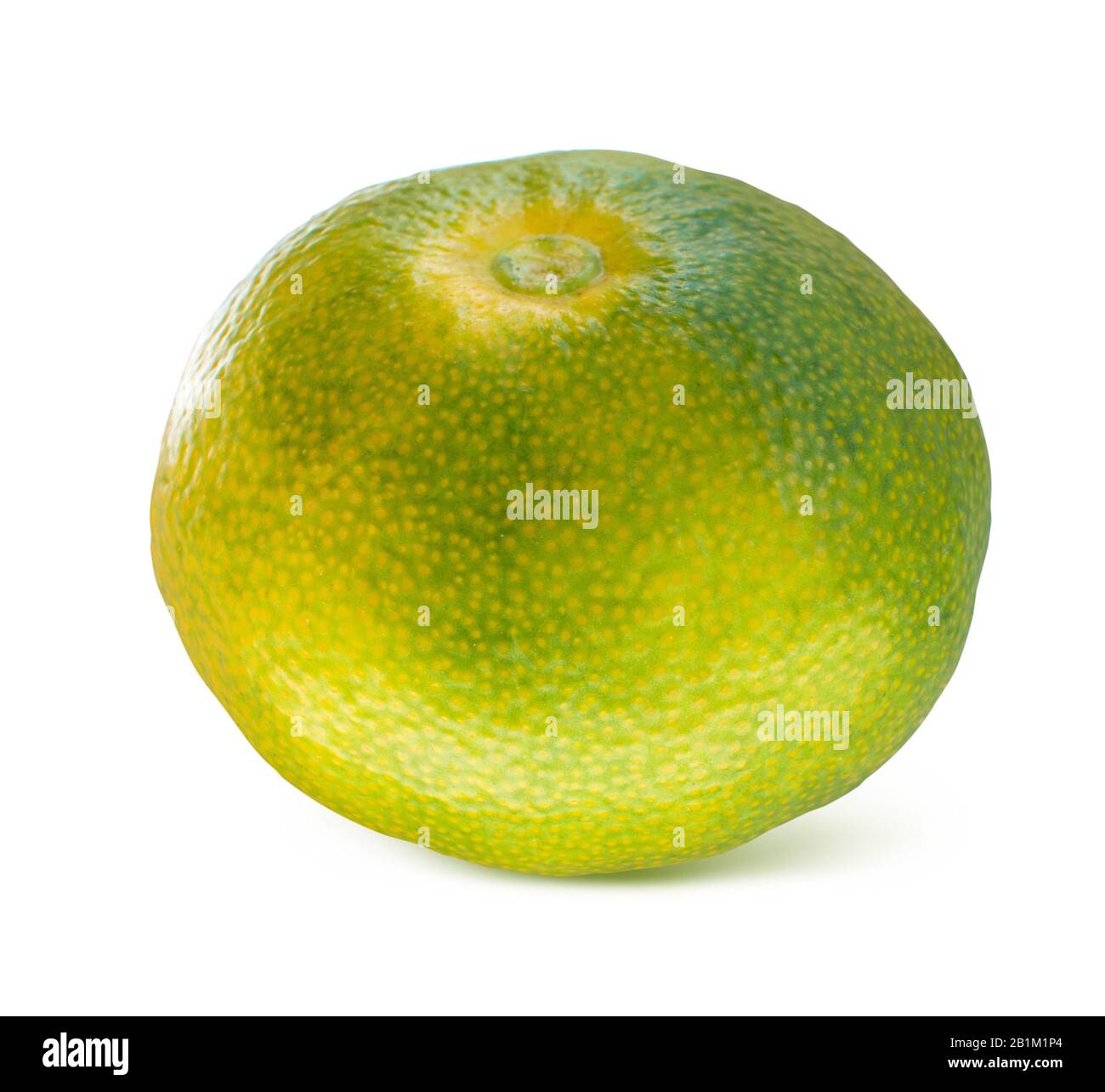 Green mandarin isolated on white background. Clipping path Stock Photo ...