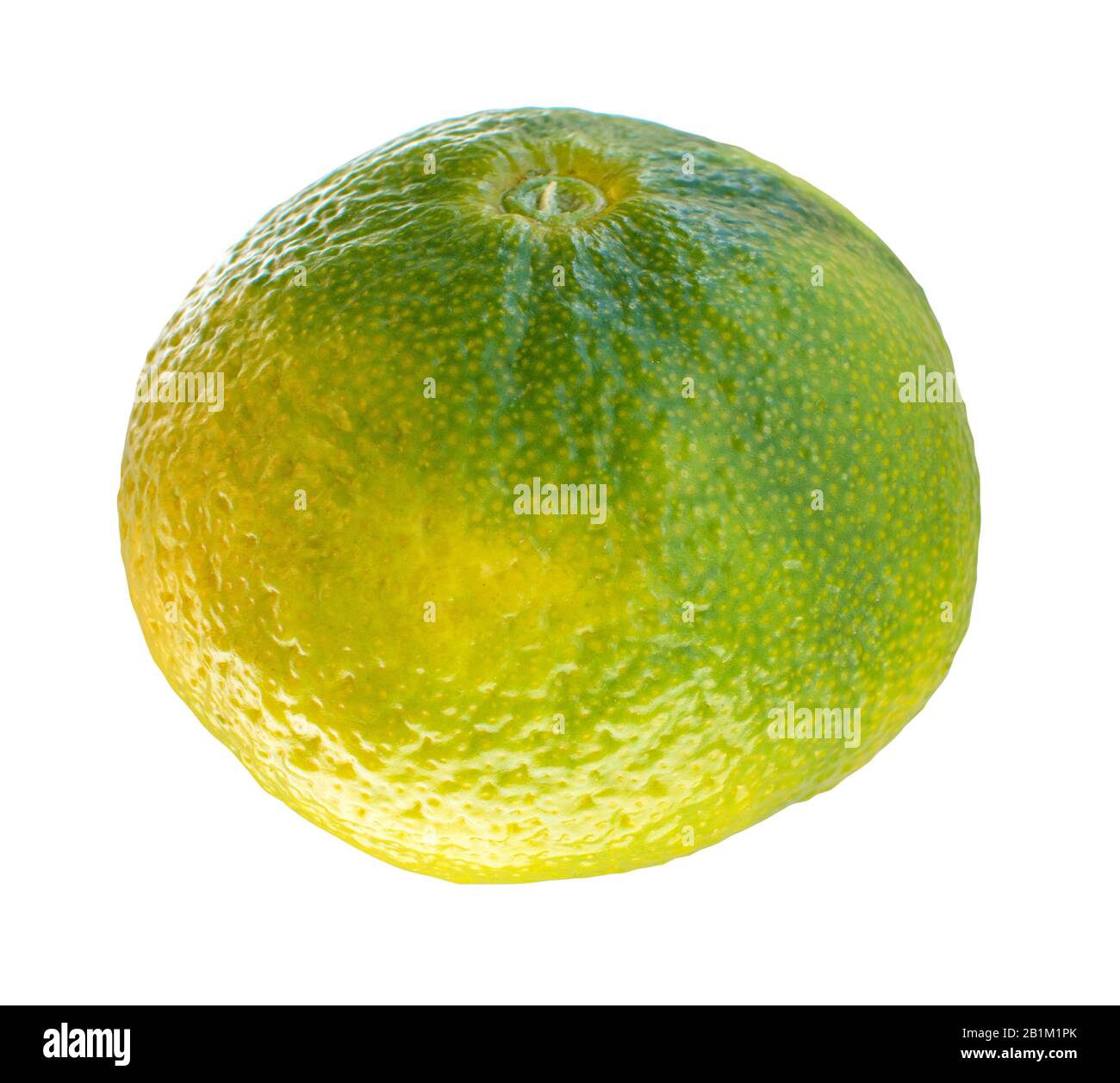 Green mandarin isolated on white background. Clipping path Stock Photo ...