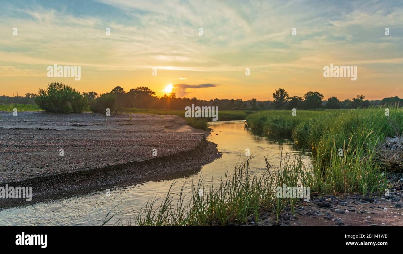 sunset river marsh with seashells and beach reed grass Stock Photo - Alamy
