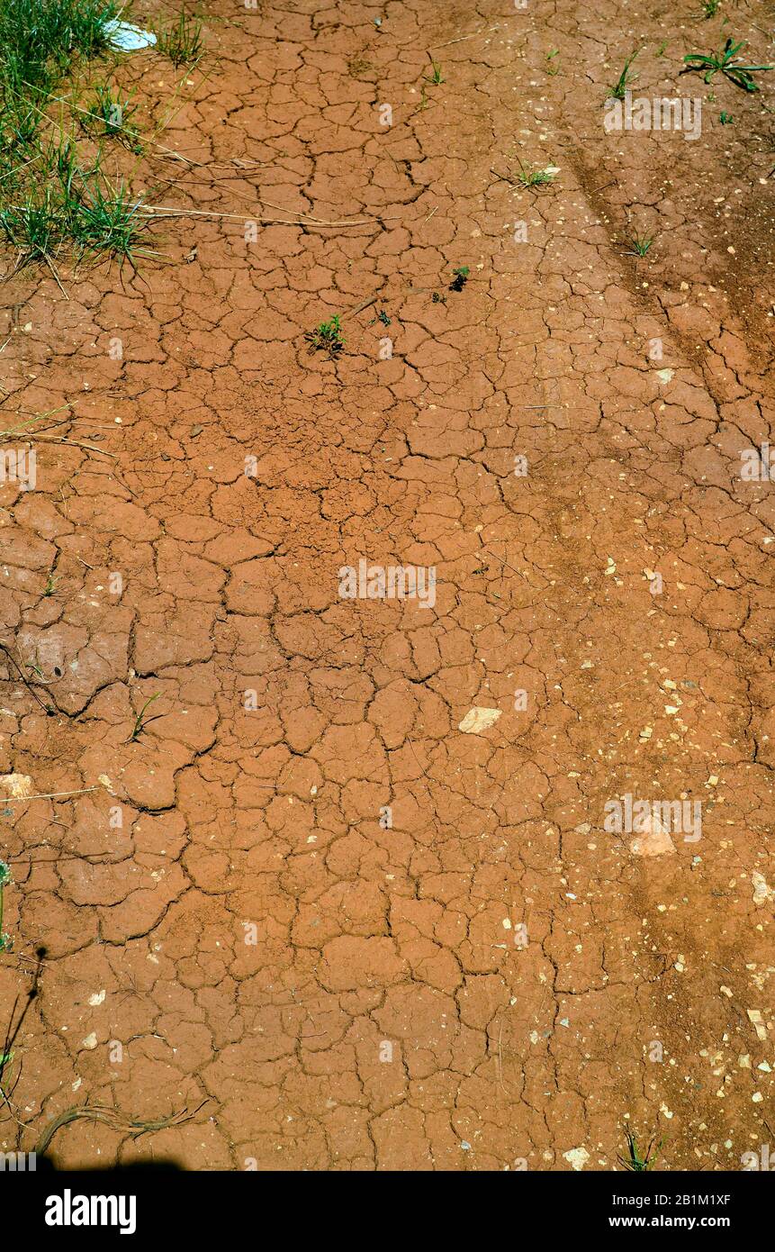 Parched ground hi-res stock photography and images - Alamy
