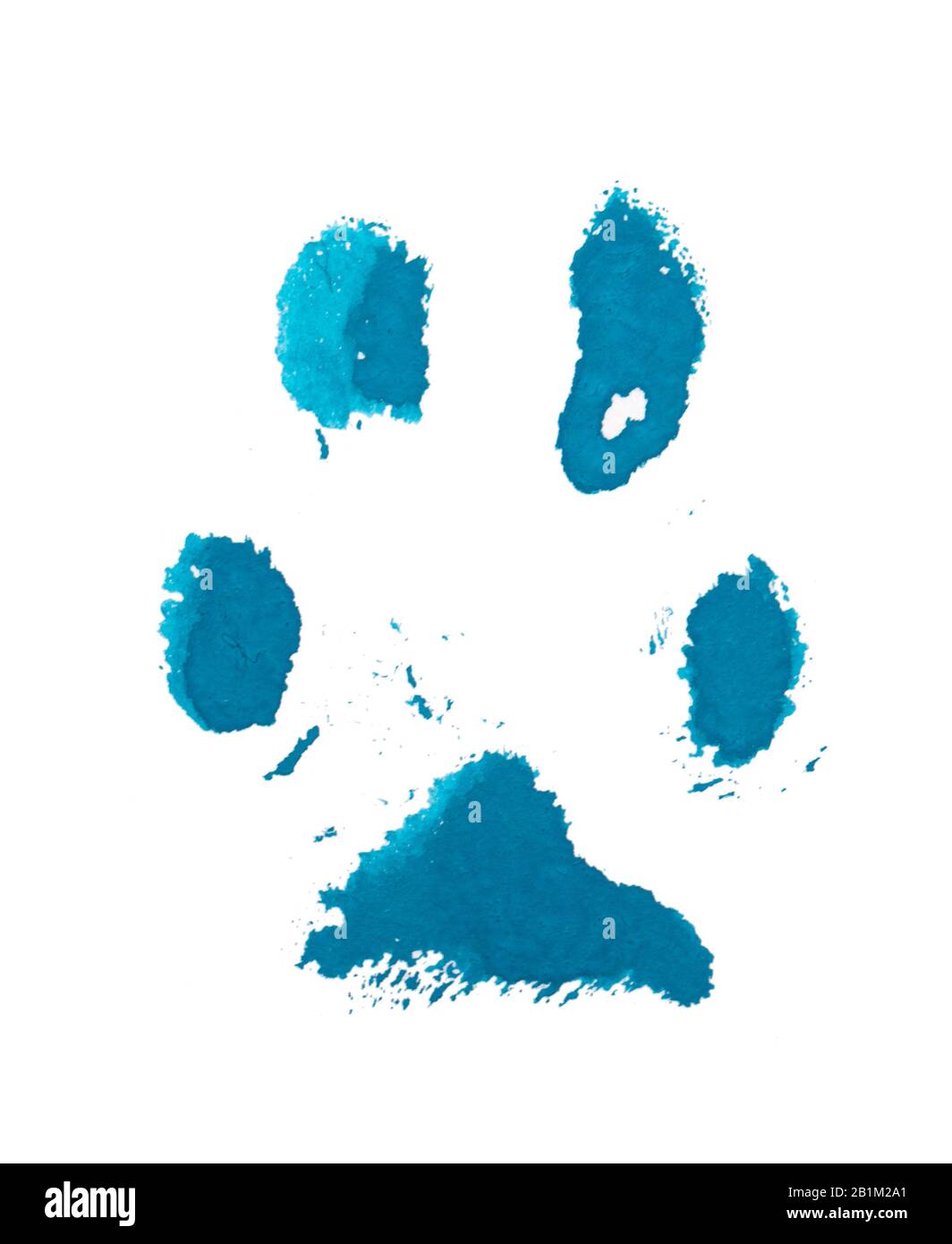 Paw print in color isolated on white background Stock Photo - Alamy