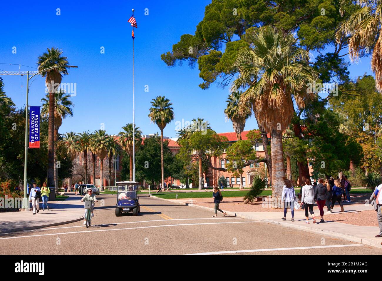 University of arizona tucson campus hi-res stock photography and images ... University of arizona tucson campus hi-res stock photography and images ...