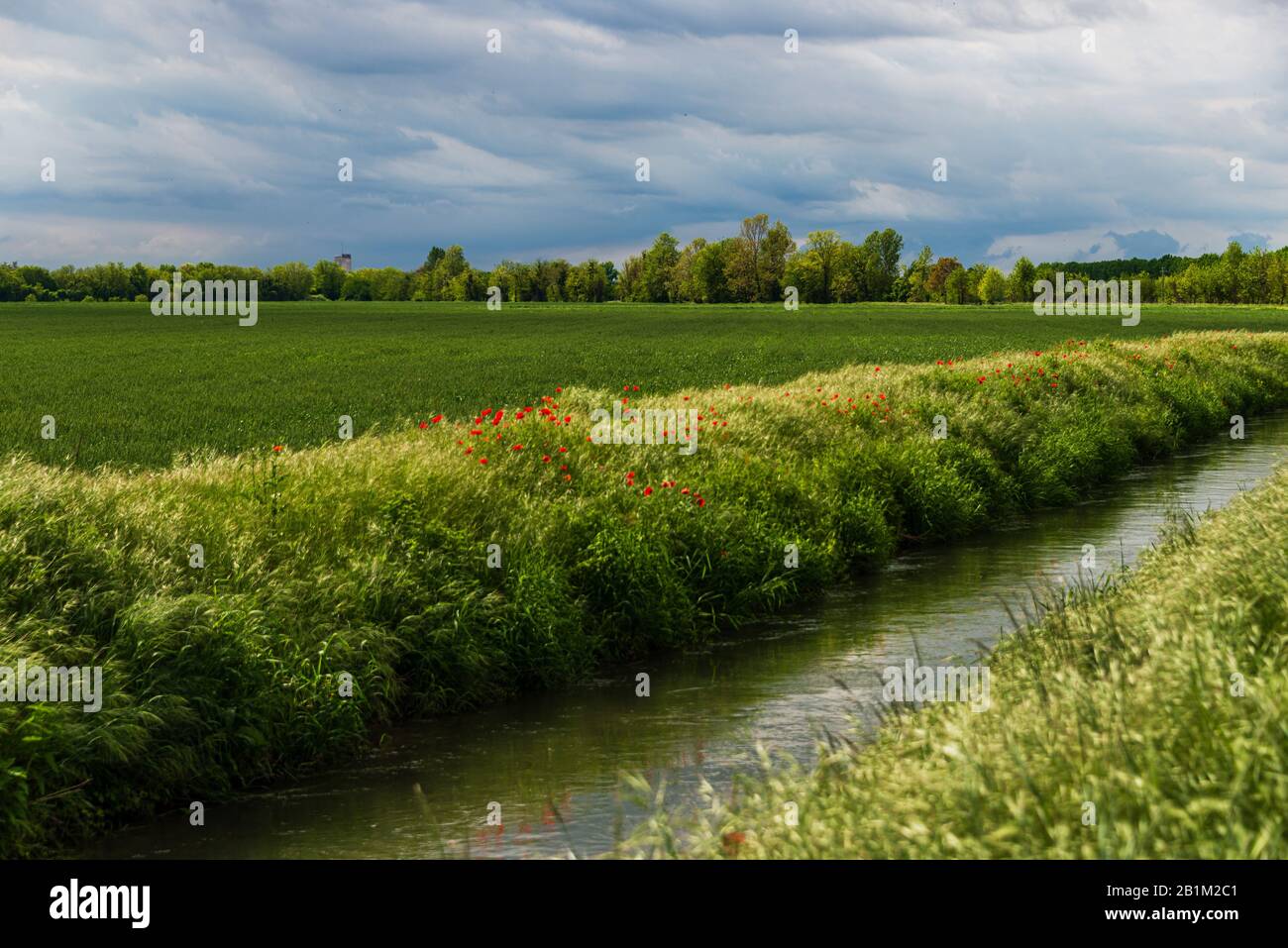 countryside landscape inside the Mincio regional park, Mantua Stock ...
