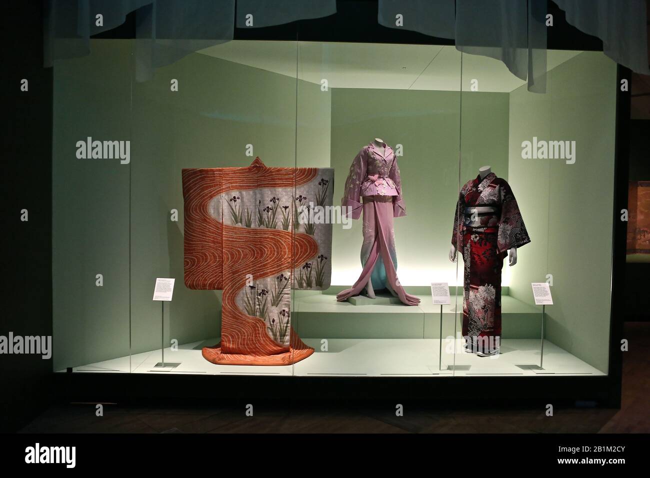 Bjork homogenic album cover hi-res stock photography and images - Alamy