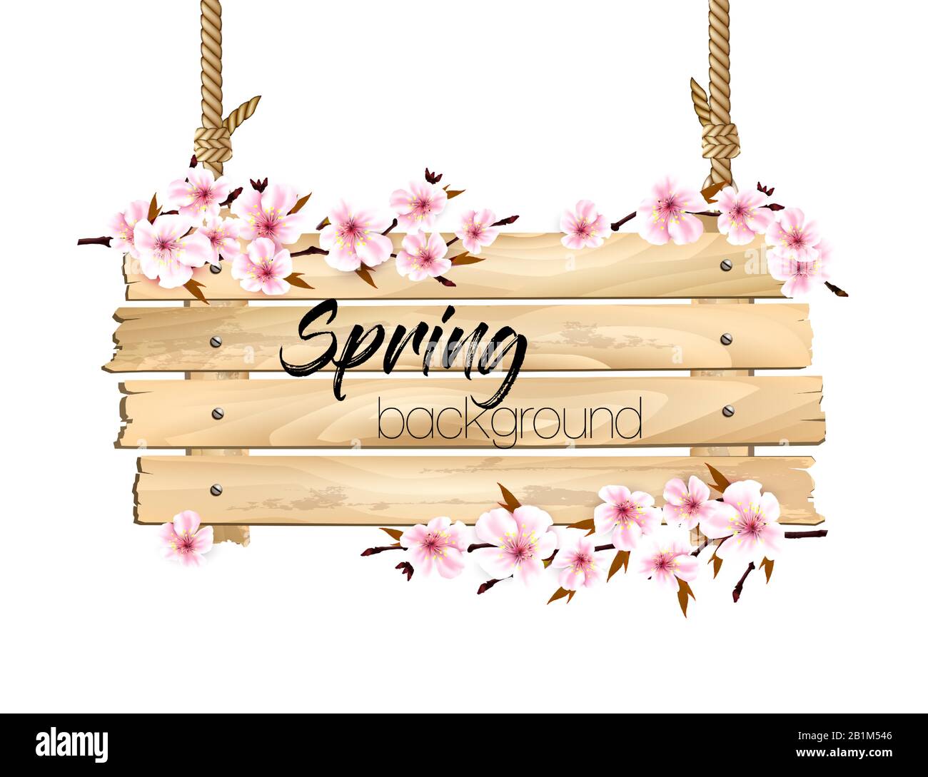 Cherry blossoms season sign Stock Vector Images - Alamy