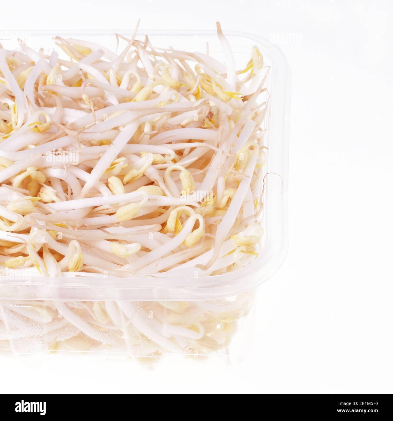 Fresh soy bean sprouts in plastic tableware isolated on white ...