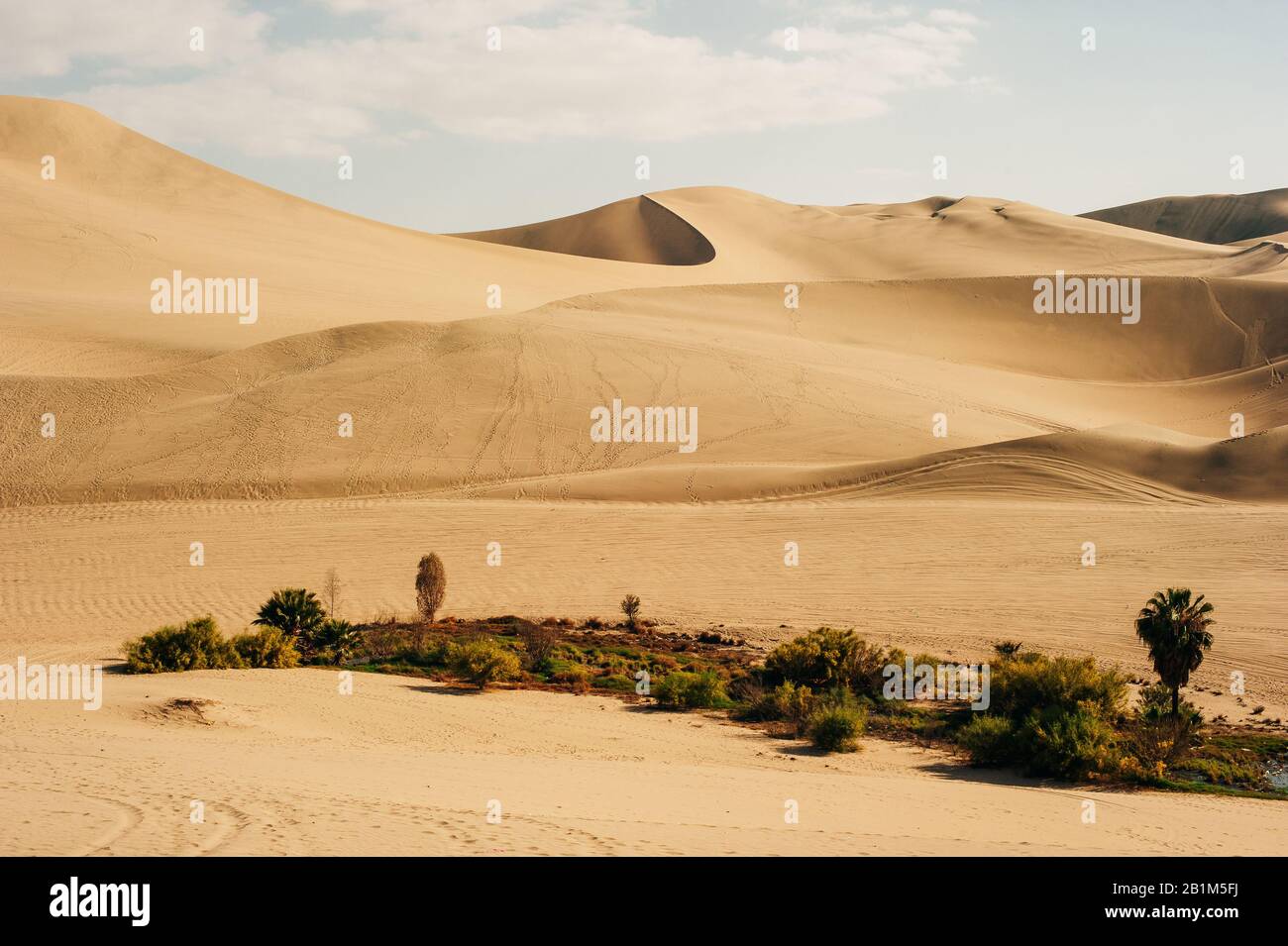 Landscape of Huacachina desert. in Ica, Peru Stock Photo - Alamy