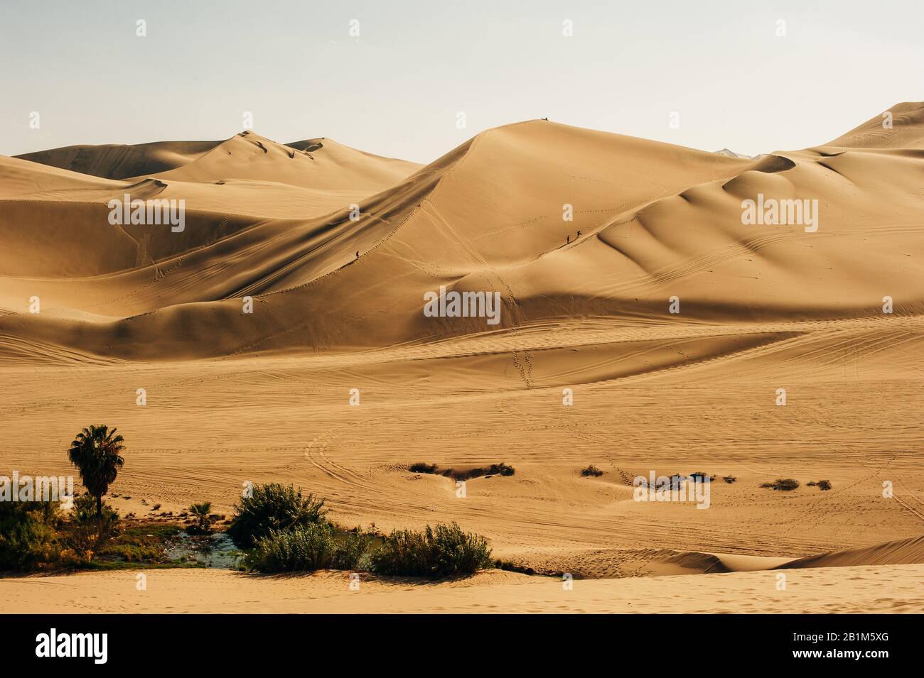 Landscape of Huacachina desert. in Ica, Peru Stock Photo - Alamy