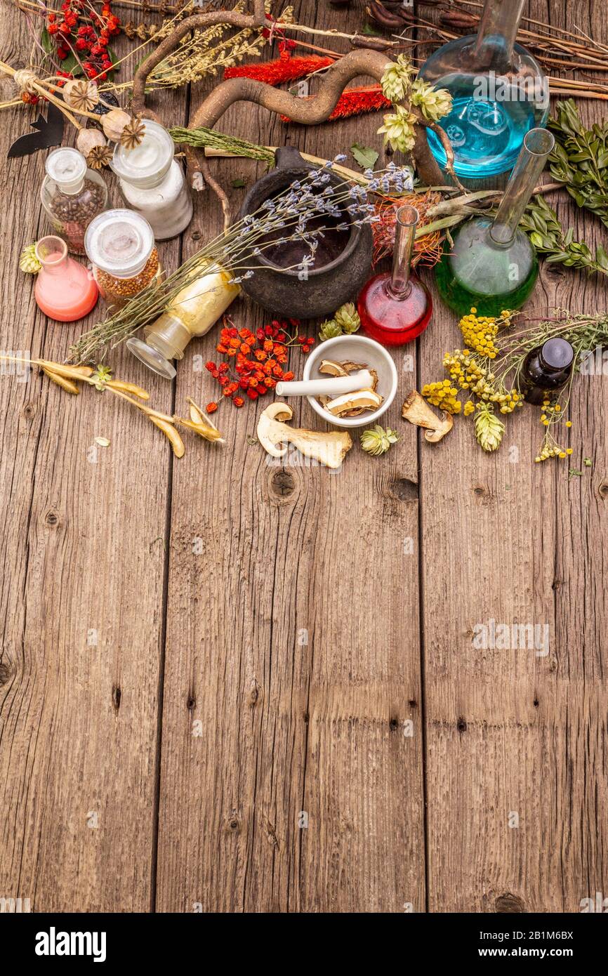 Witch's Laboratory. Alchemical equipment, apothecary treatment. Mortar ...