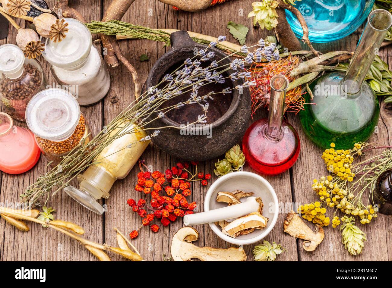 Witch's Laboratory. Alchemical equipment, apothecary treatment. Mortar ...