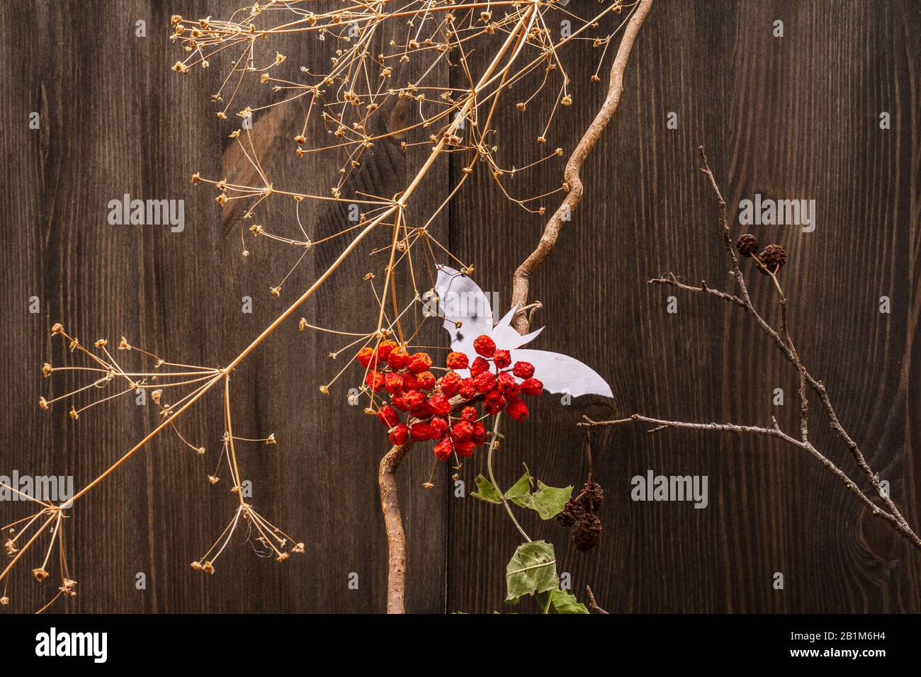 Halloween decoration concept - black bat, dried rowan, leaves and ...
