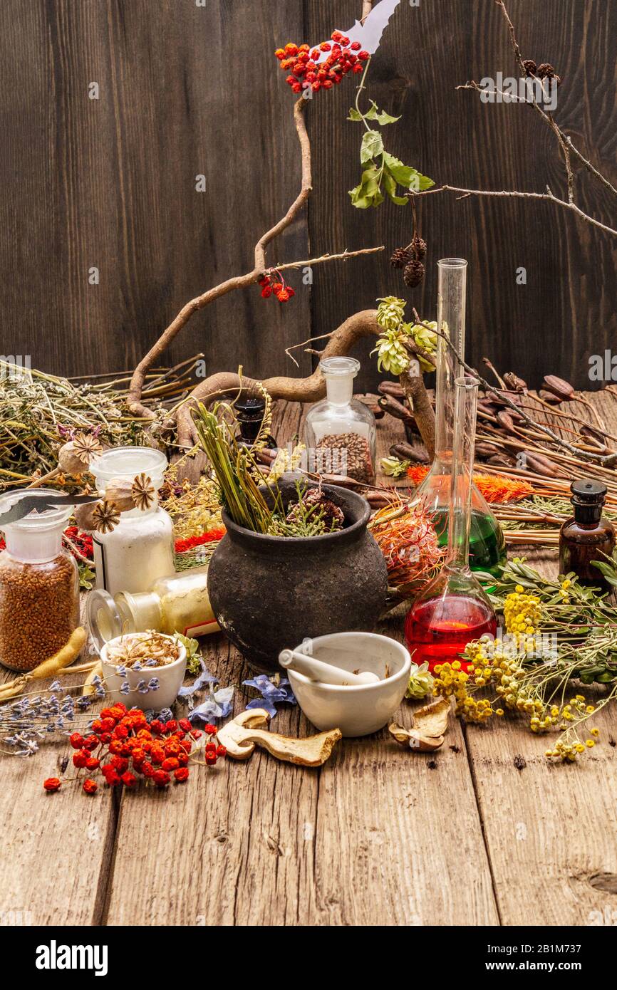 Witch's Laboratory. Alchemical equipment, apothecary treatment. Mortar ...