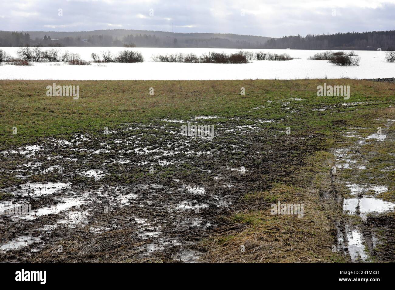 Flooded Fields from Aneriojärvi lake flooding in Suomusjärvi, Salo ...