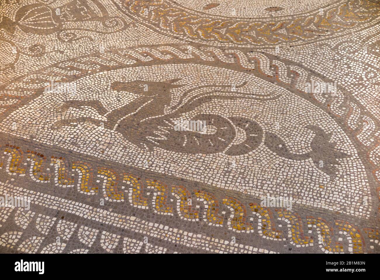 Hippocamp hi-res stock photography and images - Alamy