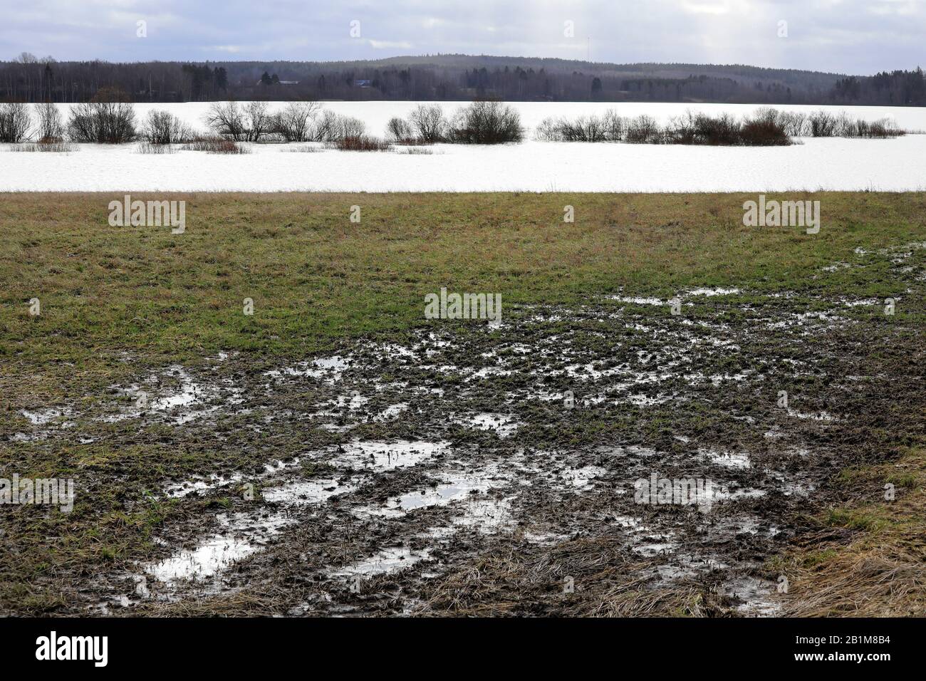 Flooded Fields from Aneriojärvi lake flooding in Suomusjärvi, Salo ...