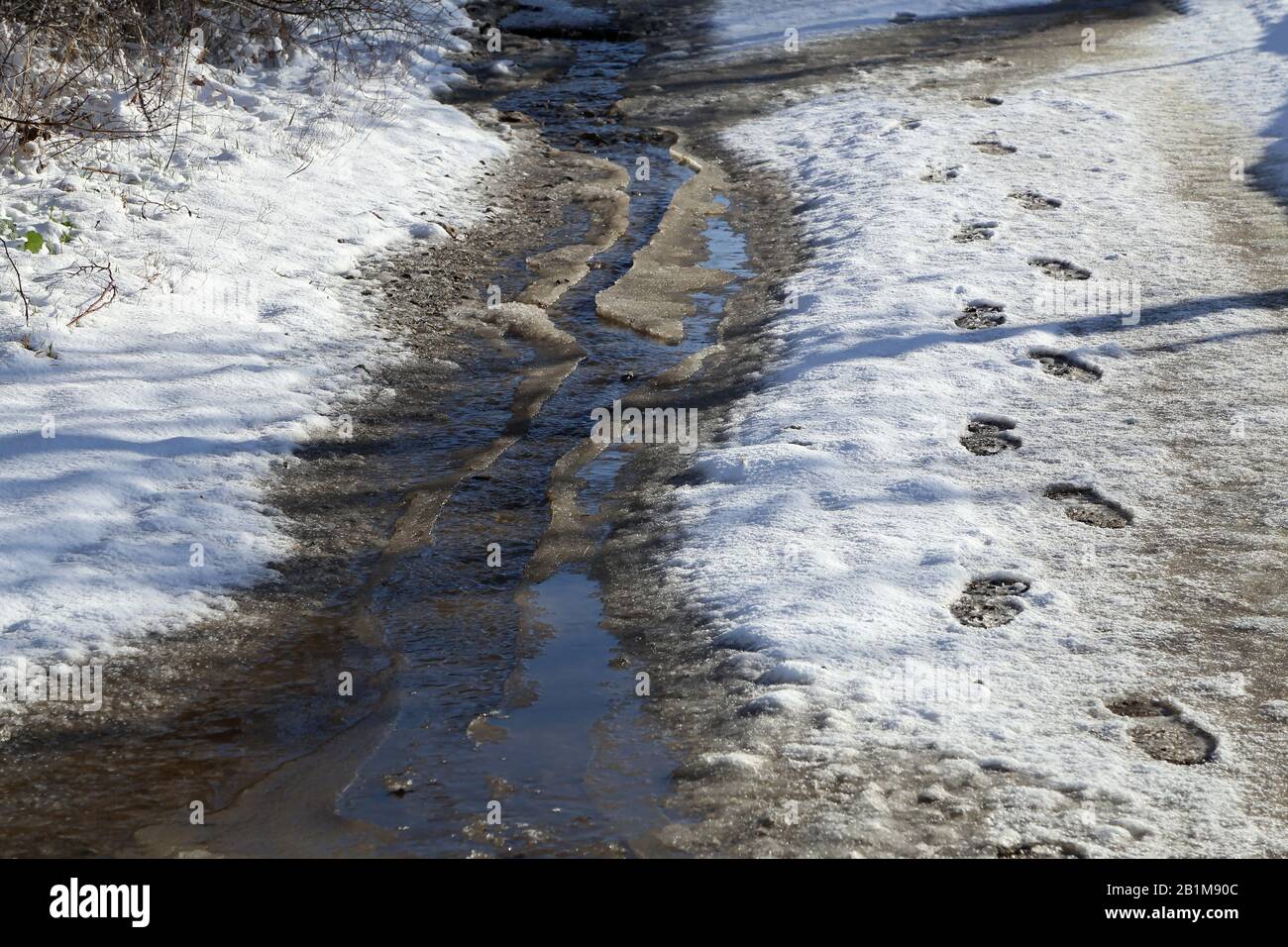 Spring day, running stream with melt water Stock Photo - Alamy