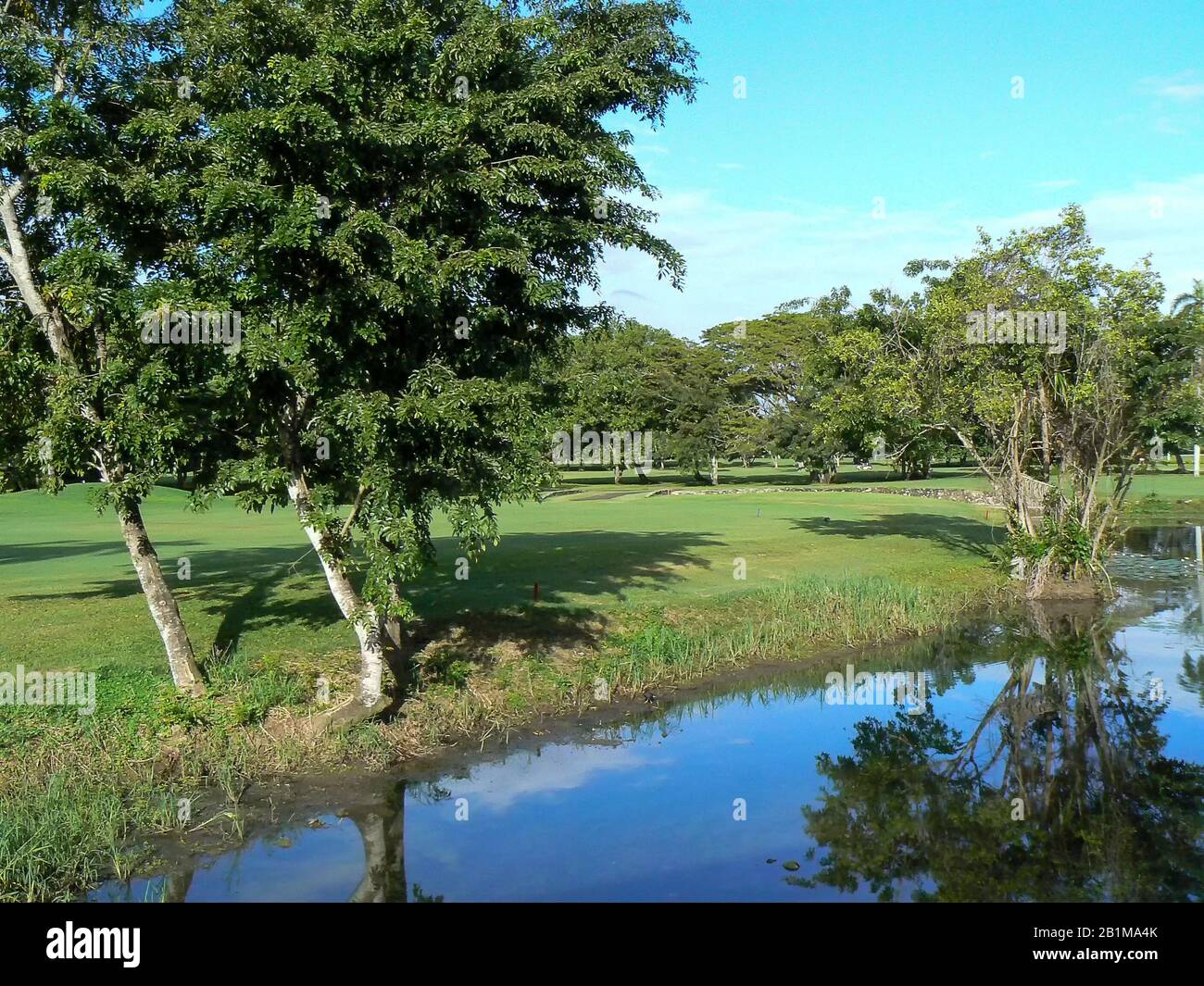 Carribean island garden hi-res stock photography and images - Alamy