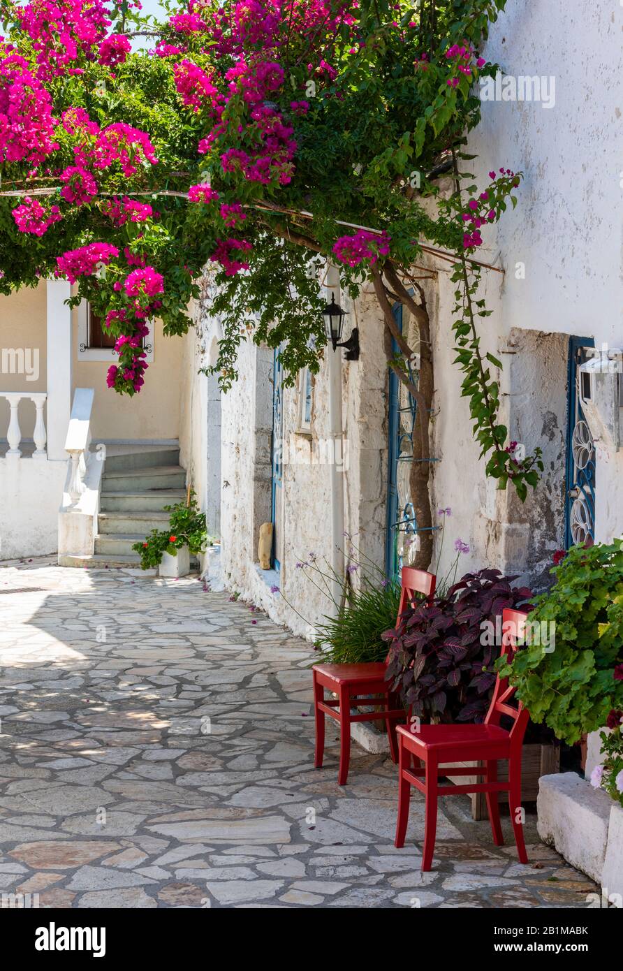 A typical greek alley or street with whitewashed buildings and ...