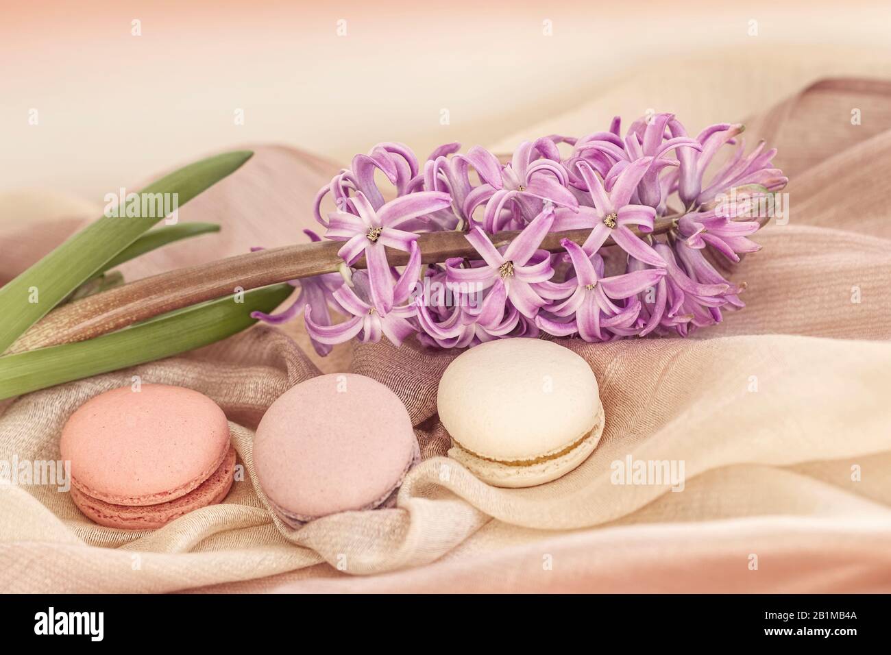 Three macaroons of different colors and different tastes and spring ...