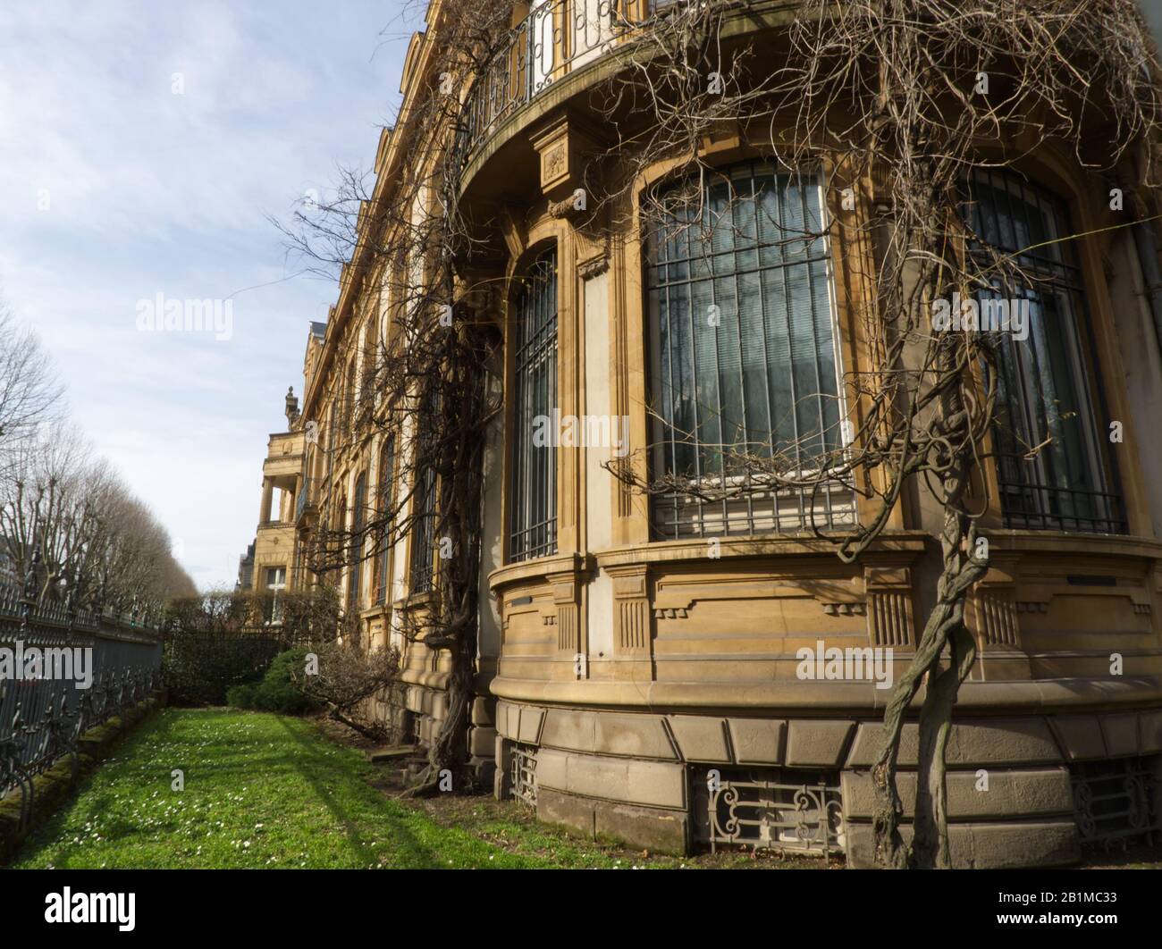 Building facade with growing plants under the sun light Stock Photo - Alamy