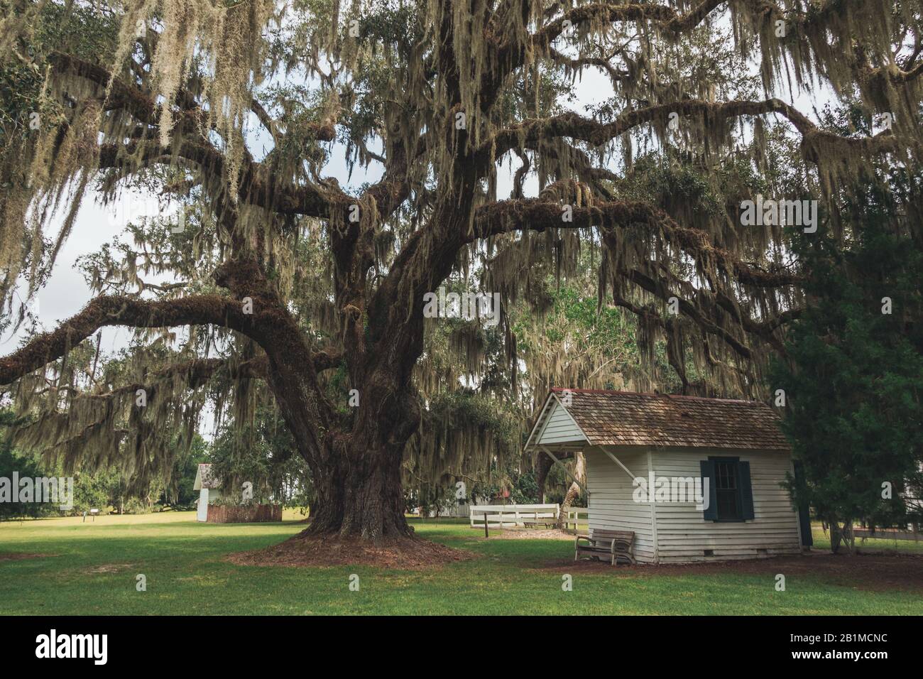 BRUNSWICK, GEORGIA - Sept 18, 2019: Hofwyl Broadfield Plantation ...