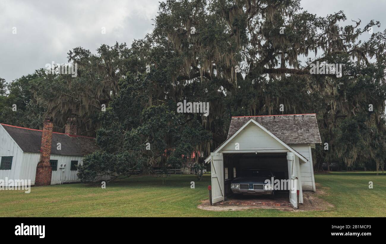 1800s southern plantation hi-res stock photography and images - Alamy