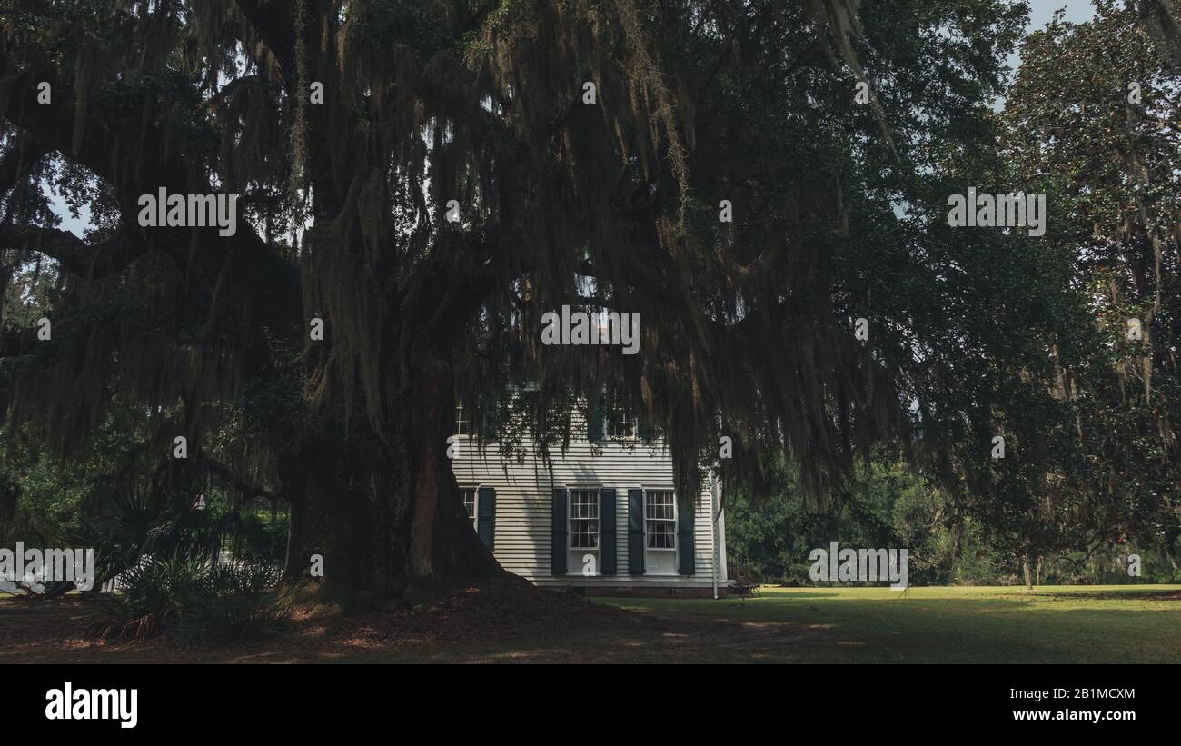 1800s southern plantation hi-res stock photography and images - Alamy