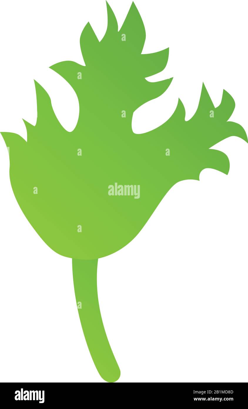 Celery leaf icon. Cartoon of celery leaf vector icon for web design ...