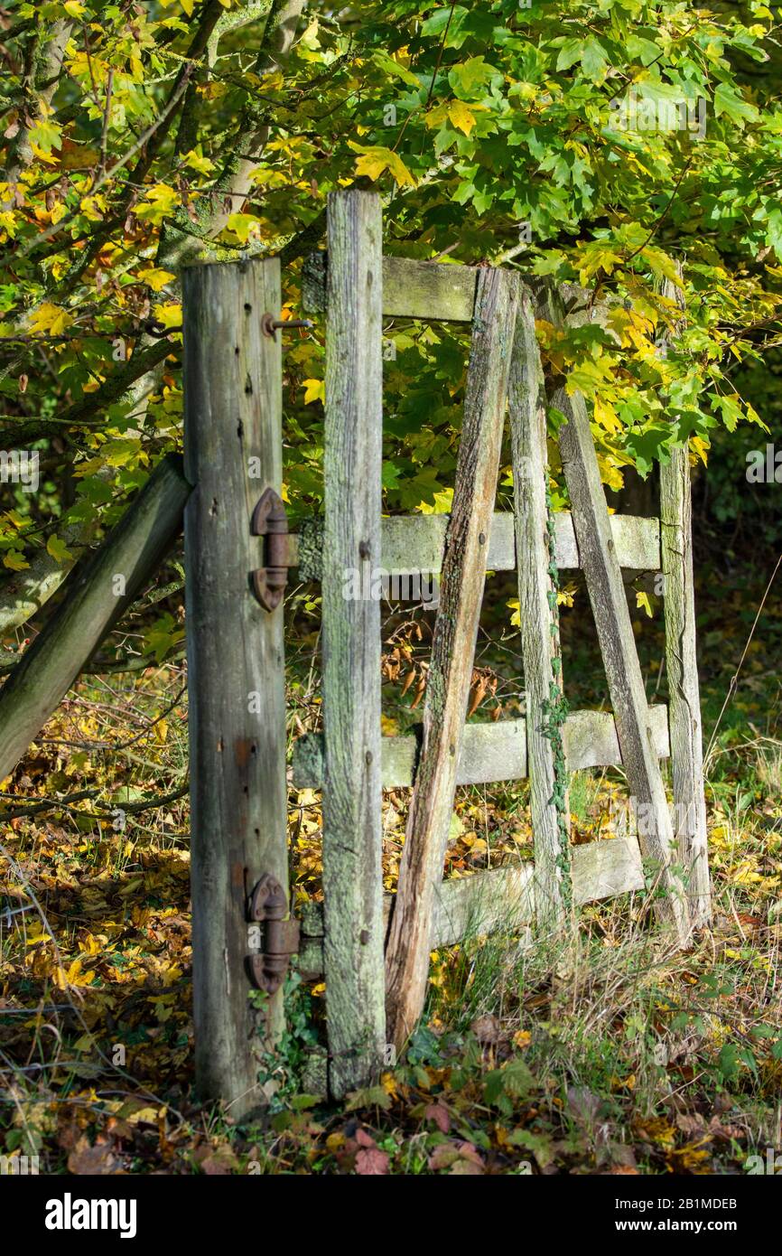 Old wooden gate hi-res stock photography and images - Alamy