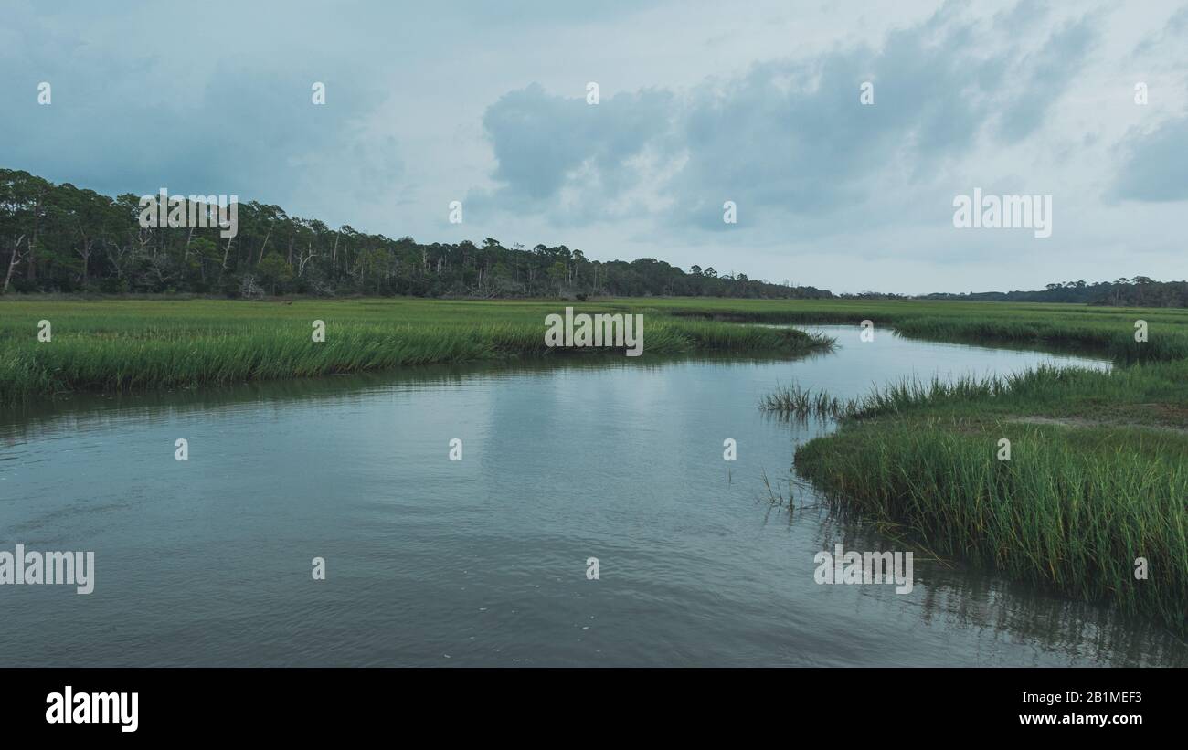 Salt marsh estuary georgia hi-res stock photography and images - Alamy