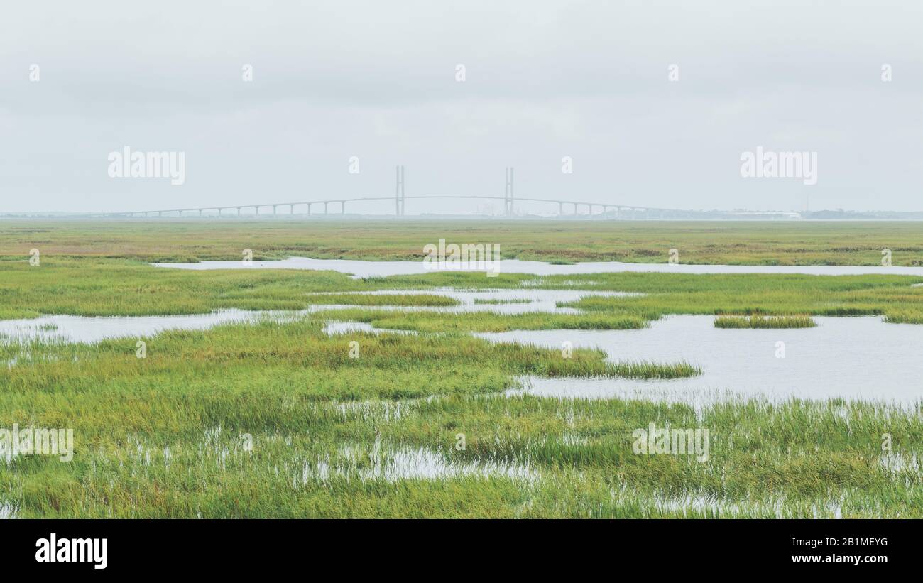 Sidney Lanier suspension bridge of Brunswick, Georgia on an overcast ...