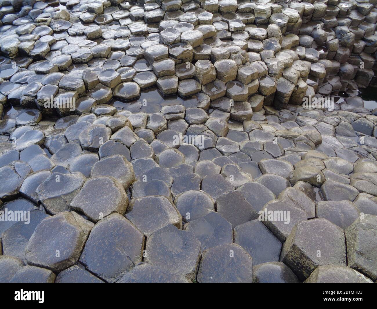 Basalt stone columns at Giant's Causeway Stock Photo - Alamy