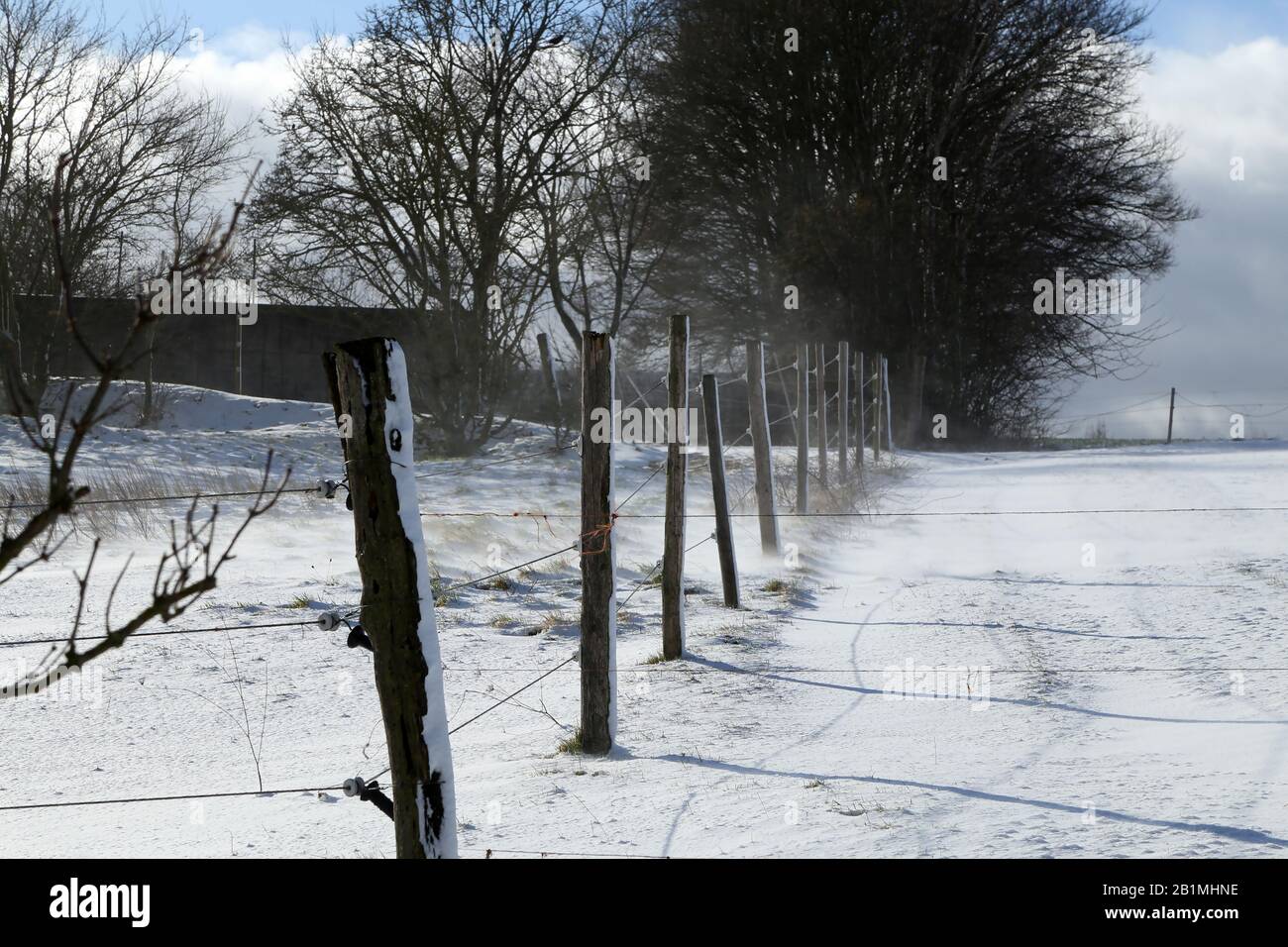 Winter rural landscape with a fence of wooden columns Stock Photo - Alamy